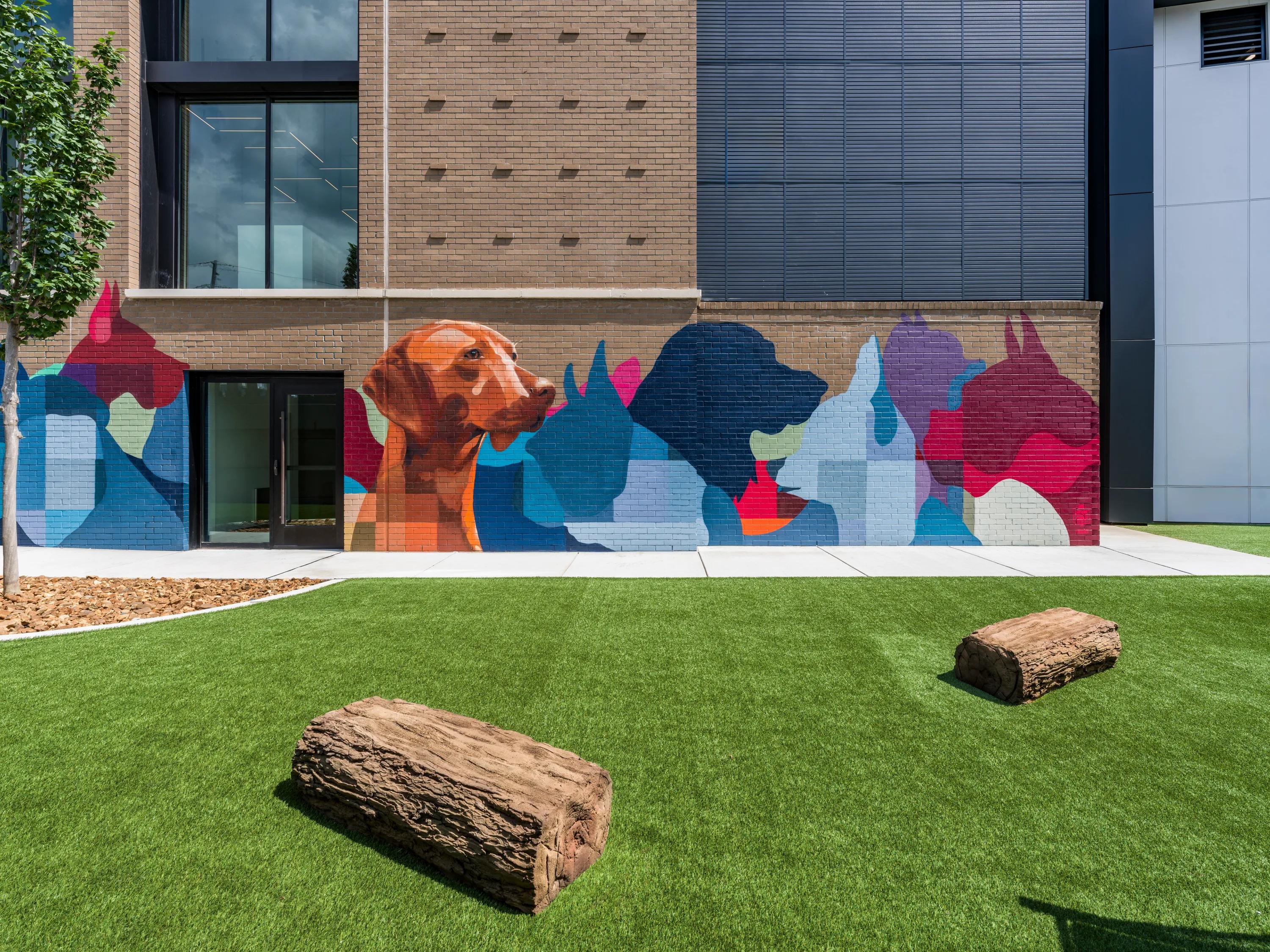 Photos of Luxury Nashville Apartments | Modera SoBro Gallery