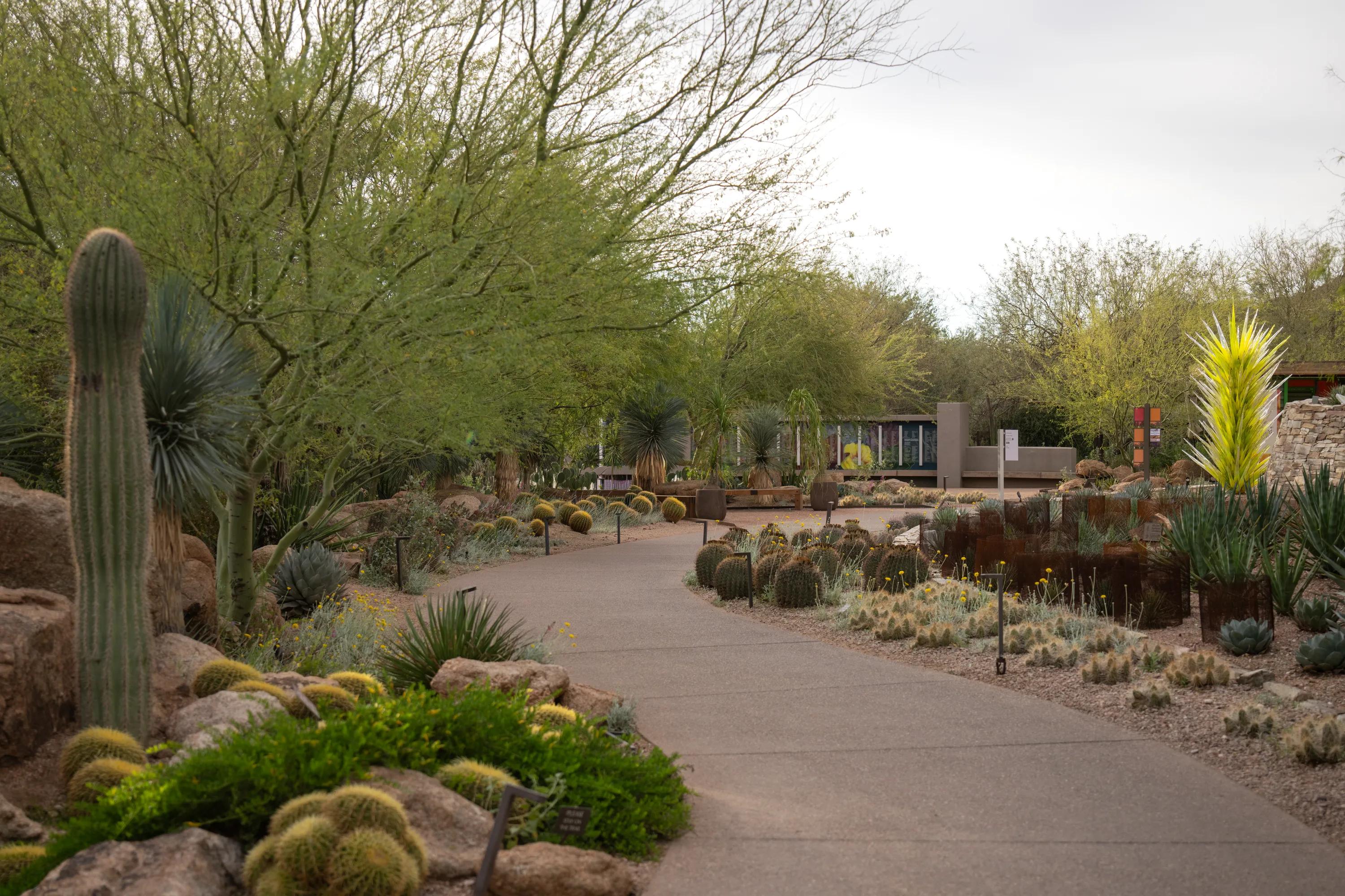 Modera Rio Salado Apartment Photos & Tours | Tempe, AZ