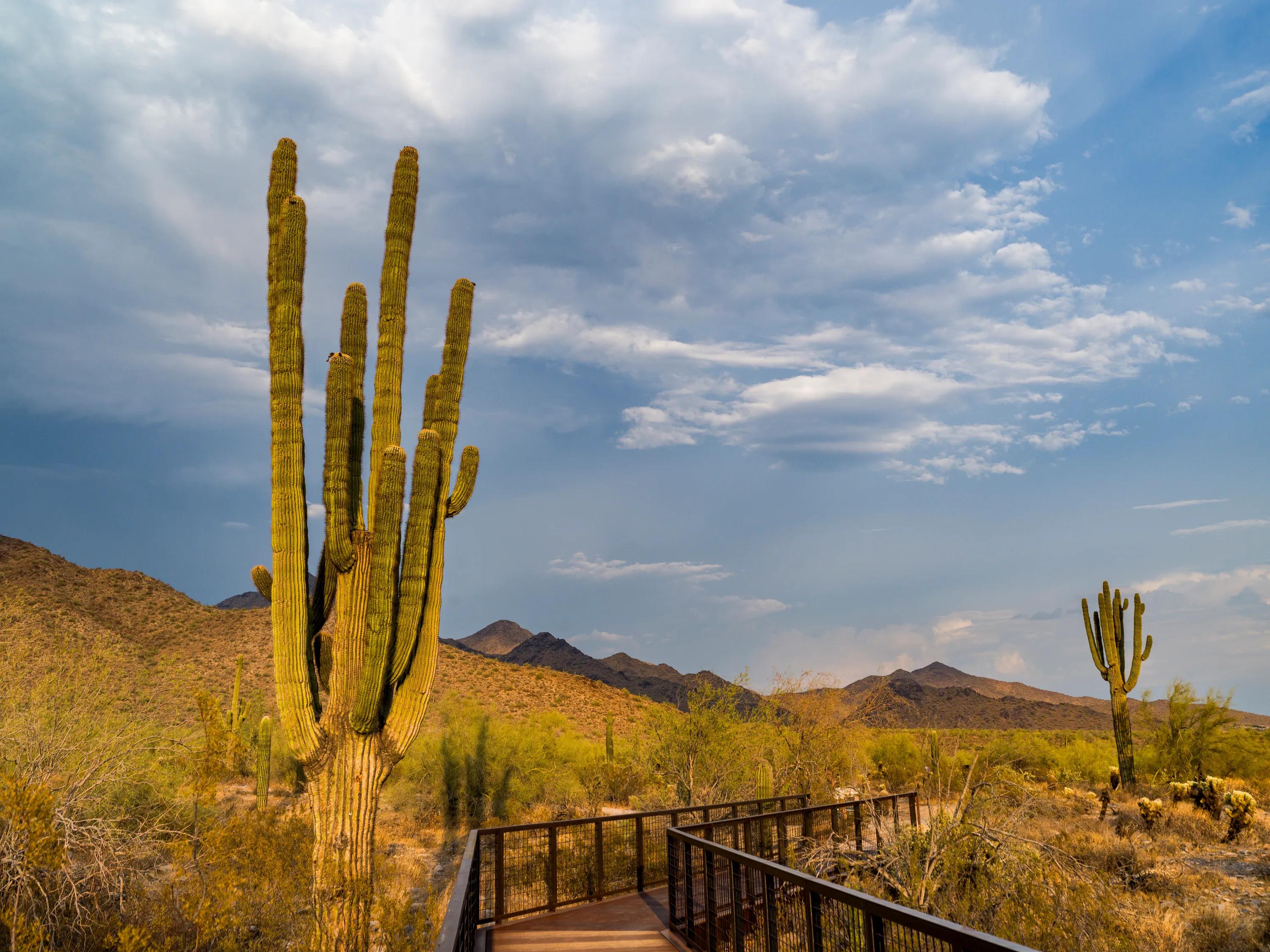 View Our Photos! North Scottsdale, AZ Apartments for Rent