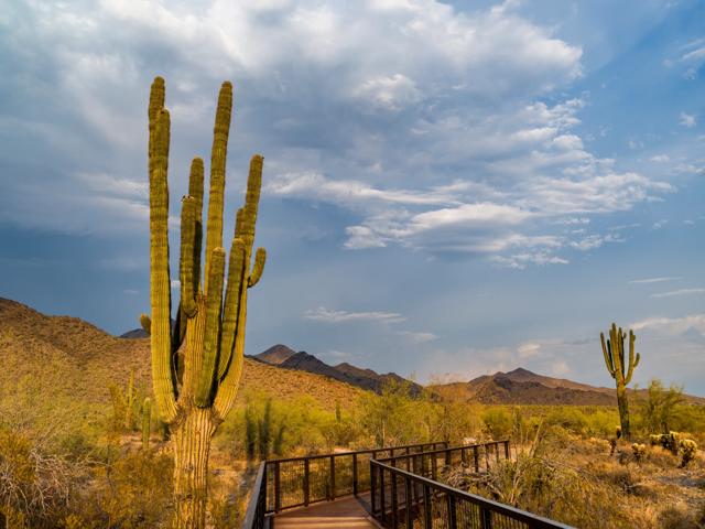 North Scottsdale Apartments Location | Modera Reserve