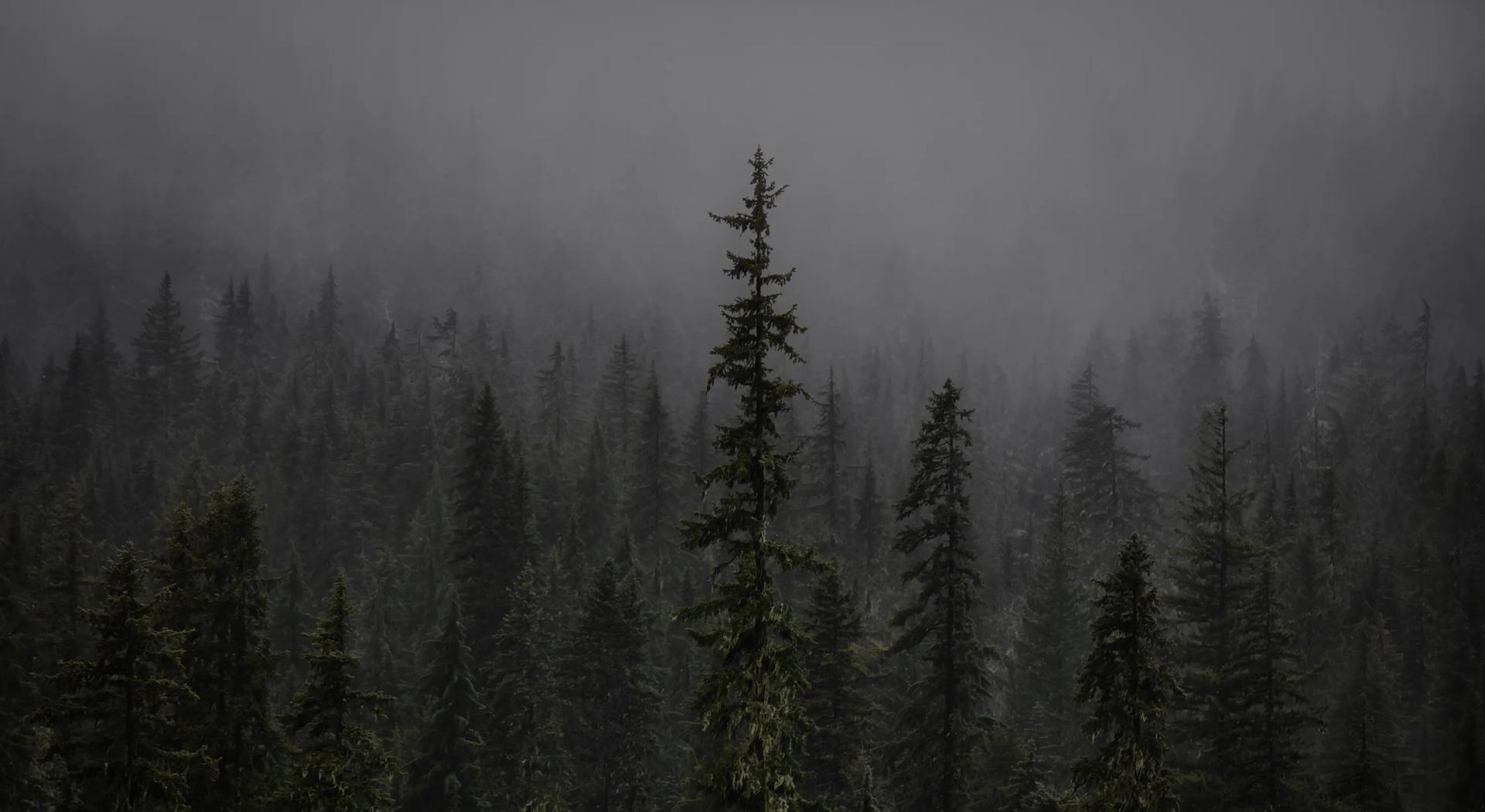 Modera Shoreline: Elevated Apartment Living in Shoreline, WA